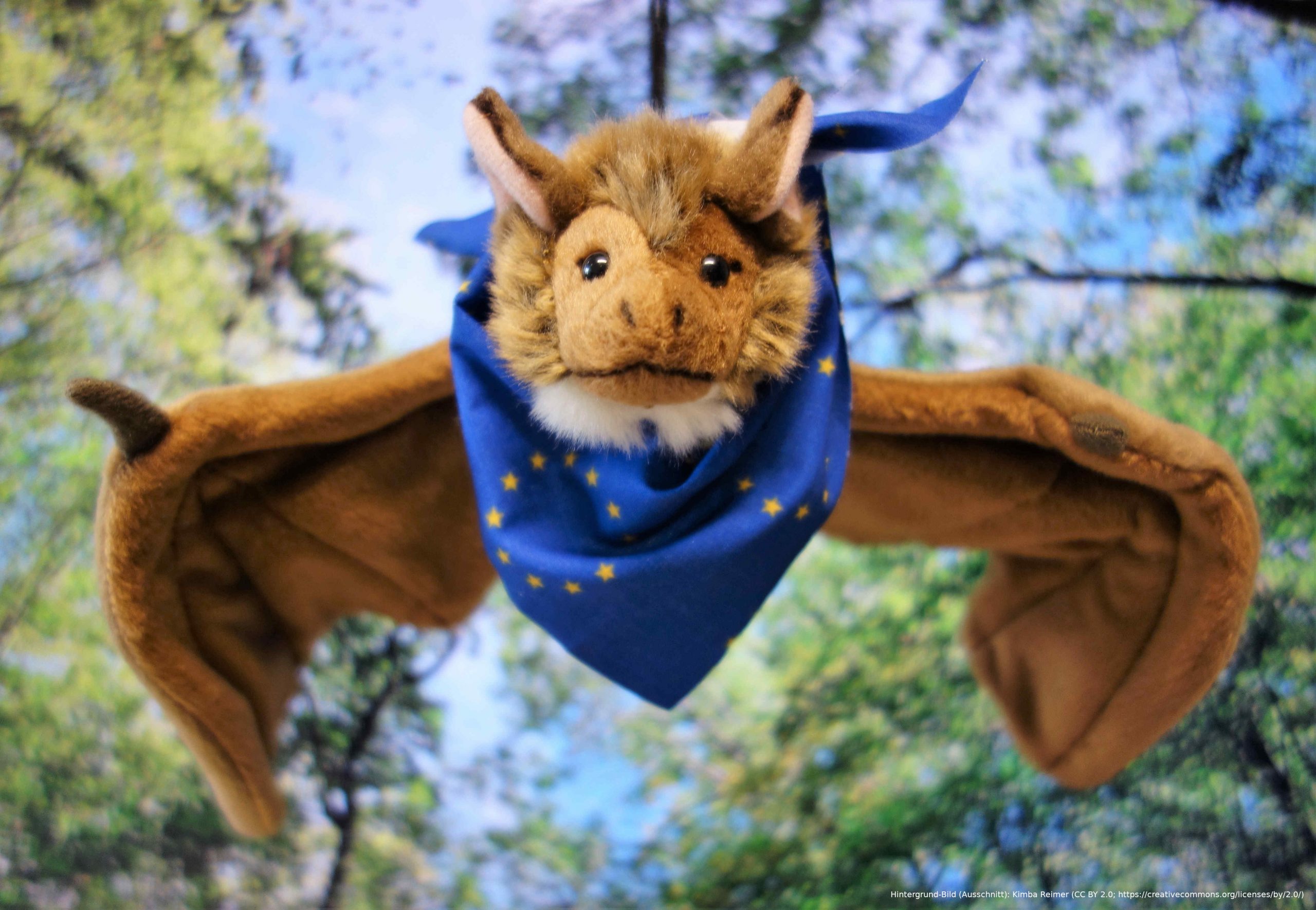 Club der Fledermaus-Verteidiger*innen - Sven Giegold